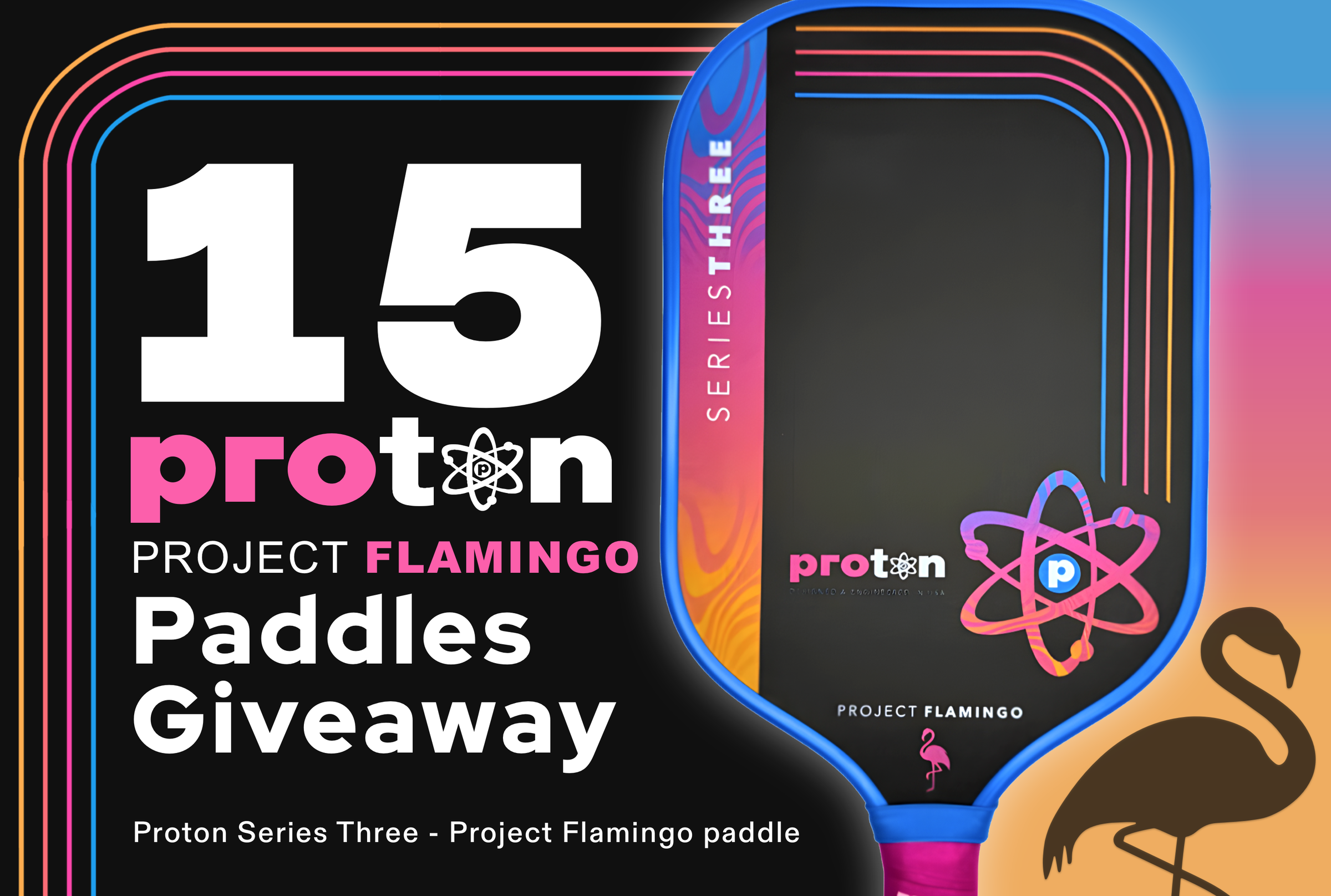 Proton Flamingo Paddle Giveaway